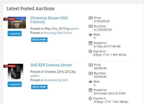 Auction Theme Review - SiteMile | READ REVIEW