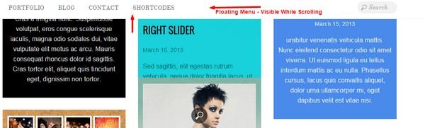 Themify Bold Theme Review | REALITY