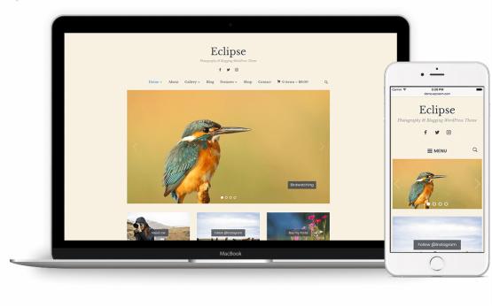 Eclipse Theme Review - WPZOOM Portfolio Theme | WORTH