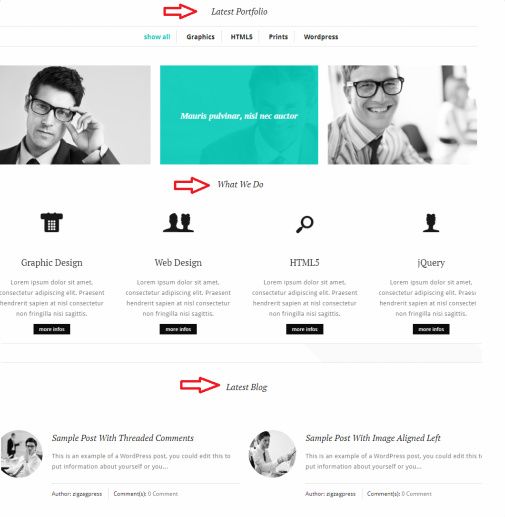 Absolute Review - Zigzagpress Portfolio Theme | REALITY