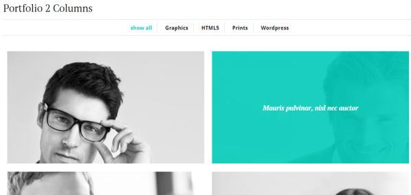 Absolute Review - Zigzagpress Portfolio Theme | REALITY