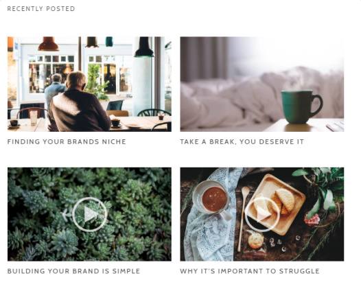 TheMotion Review - ThemeIsle for Video Blogs | REVEALED