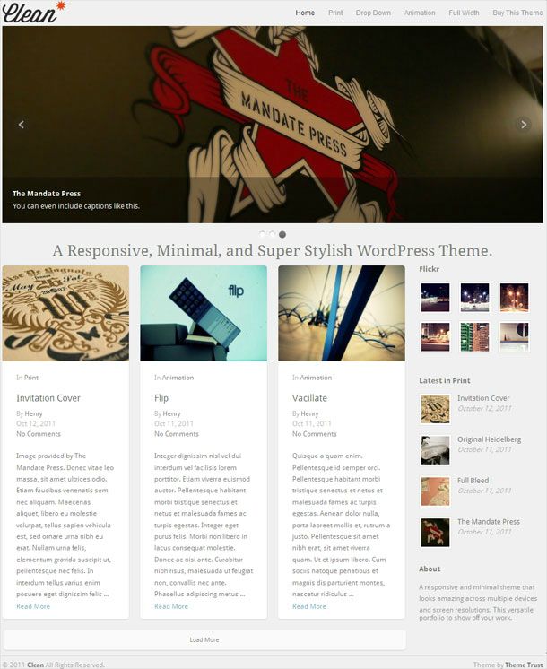 Clean Theme Review - Theme Trust | READ THIS