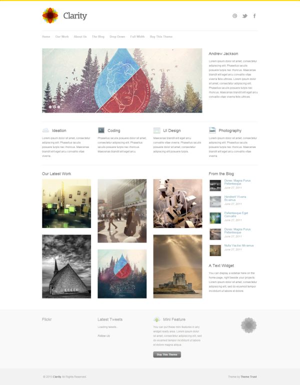 Clarity Theme Review - Theme Trust | WORTH