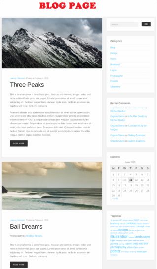 Portfolio Theme Review - Organic Themes | TRUTH