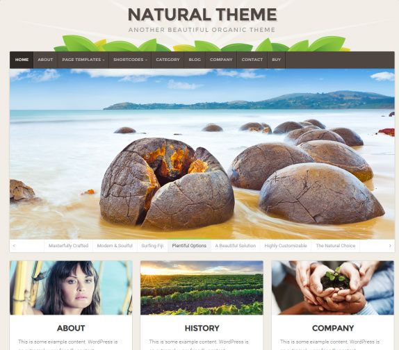Natural Theme Review - Organic Themes | MUST READ