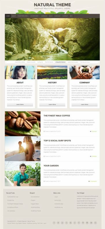 Natural Theme Review - Organic Themes | MUST READ