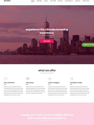 CSSIgniter Roxima Theme Review | GOOD