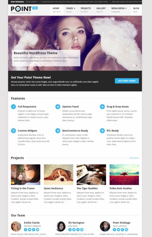PointPro Theme Review - MyThemeShop | GOOD