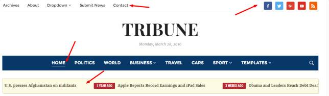Tribune Theme Review - WPZOOM | LEGIT