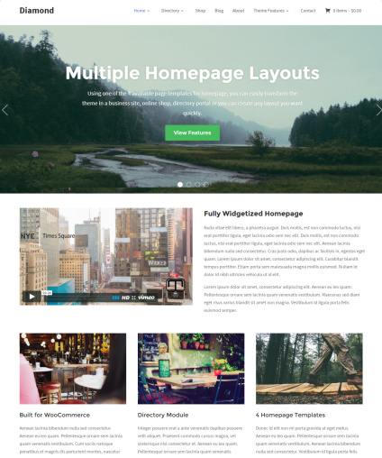 Diamond Theme Review - WPZOOM | TRUTH