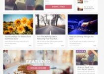 Immunity Theme Review - MyThemeShop | READ 1ST