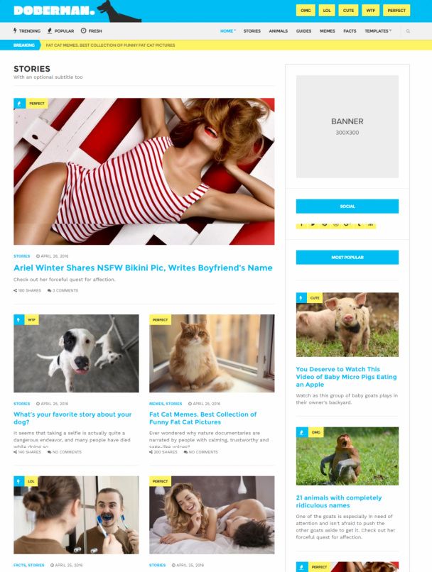 Mozzy Review - CSSIgniter Portfolio Theme | MUST-READ