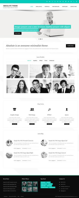 Absolute Review - Zigzagpress Portfolio Theme | REALITY