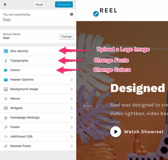 Reel Review : Best Video Theme - WPZOOM | TRUTH